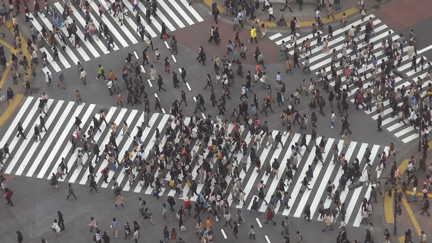 Research on Pedestrian Movement Modelling